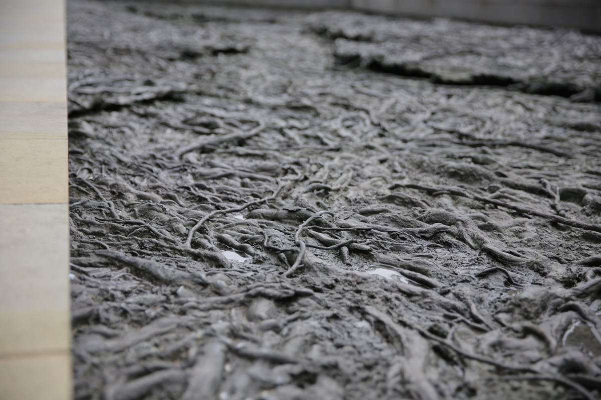 The London Walker – Explore and walk the history of London