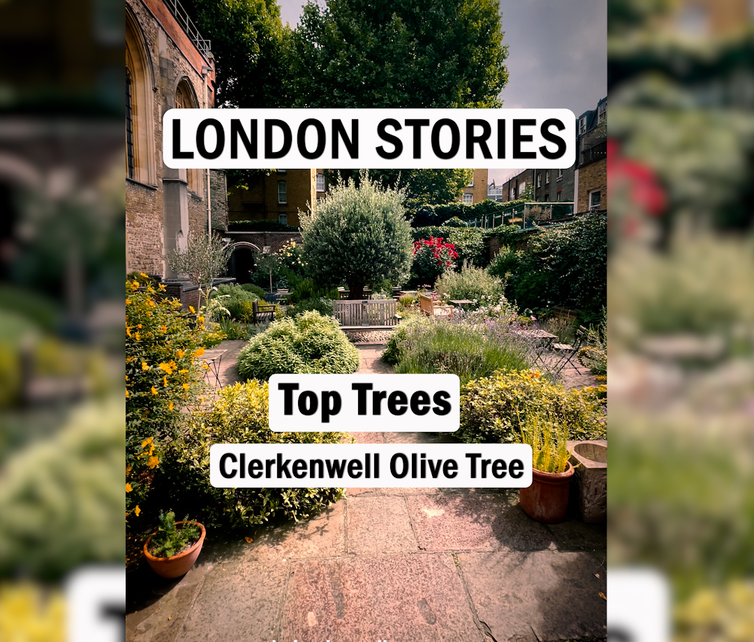 The London Walker – Explore and walk the history of London